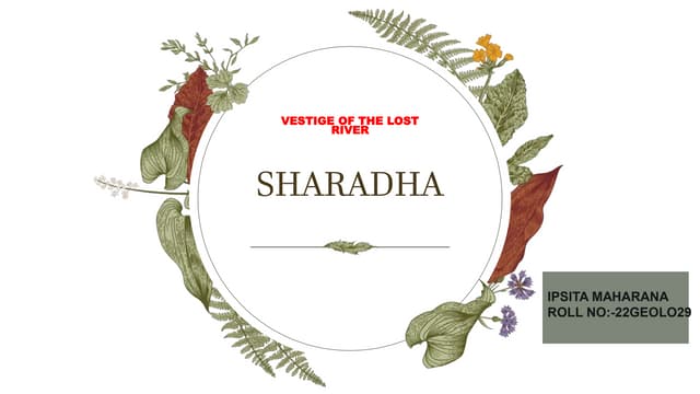 TEXTURE OF IGNEOUS ROCKS[1].pptx