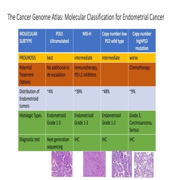 In A Nutshell: Endometrial Cancer Molecular Subtypes | PDF