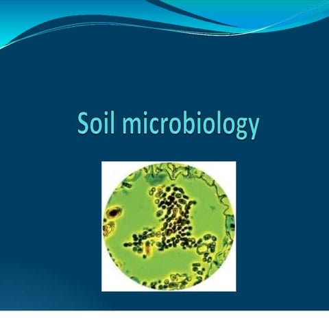 Share 6- soil microbiology.pptx slides.. | PPT