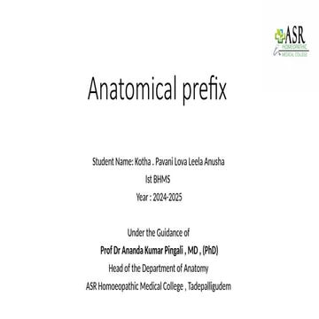 Share Anatomical prefix ( angio and amni).pptx