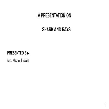 Shark and rays | PPTX