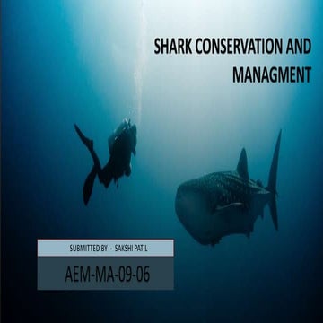 Shark conservation and management.ppt