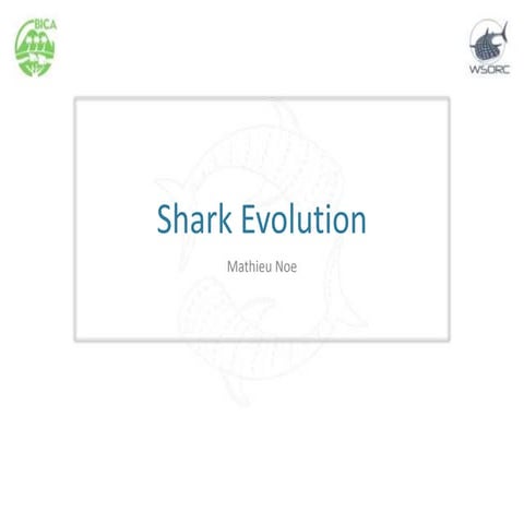 Shark evolution | PPTX
