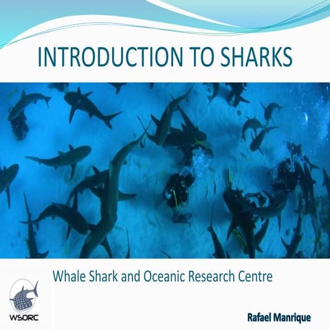 Shark general oj | PPTX