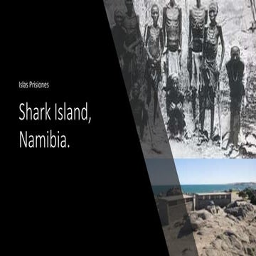 Shark island, namibia