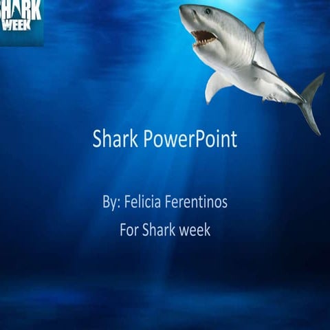 Shark powerpoint | PPT