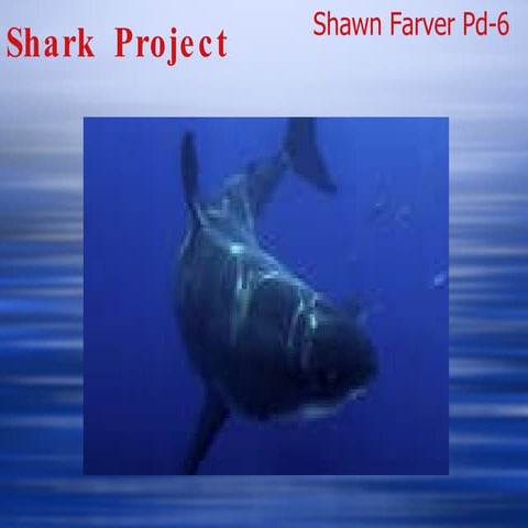 Shark Project | PPT