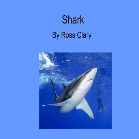 Shark by Ross | PPT