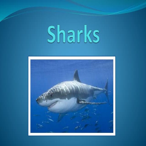 Sharks | PPT