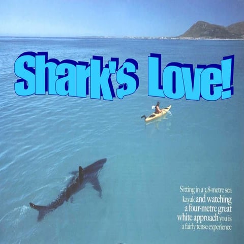 Sharks Love | PPS