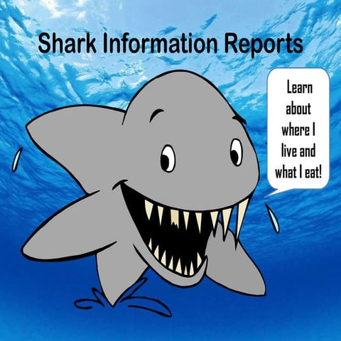12WD Shark Information Reports | PPT