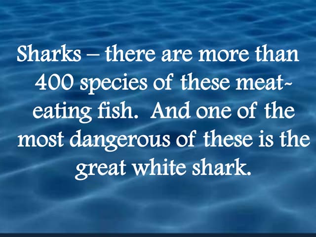 Sharks power point | PPT