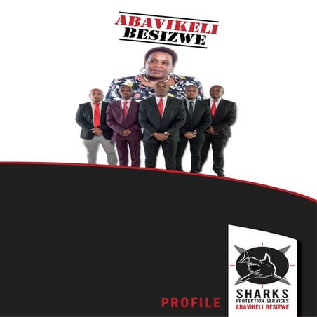 Sharks protection business profile | PDF