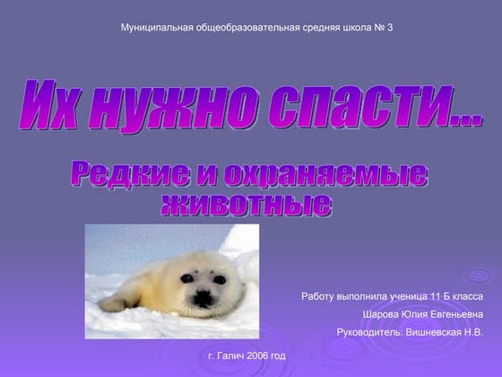 химерообразные | PPT