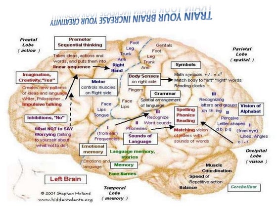 The Power of The Mind | PPTX | Brain and Nervous System Disorders ...