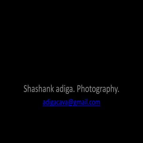 Shashank Adiga.Pptx Final | PPTX