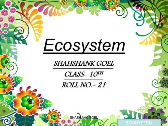 Ecosystem:Structure and Function | PPT