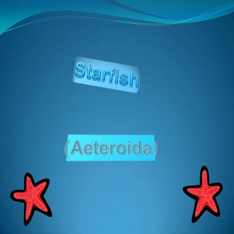 Amazing Starfish Facts Discover the Secrets of the Sea!.pdf