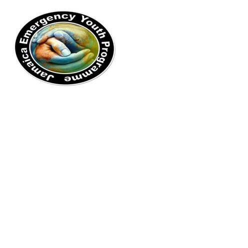 The provisional logo. | DOCX