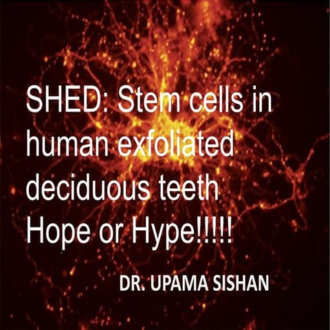 STEM CELLS IN HUMAN EXFOLIATED DECIDUOUS TEETH(SHED) | PPTX