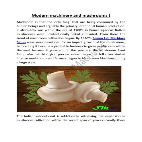 Shed construction automation of mushroom growing unit mushroom machines ...