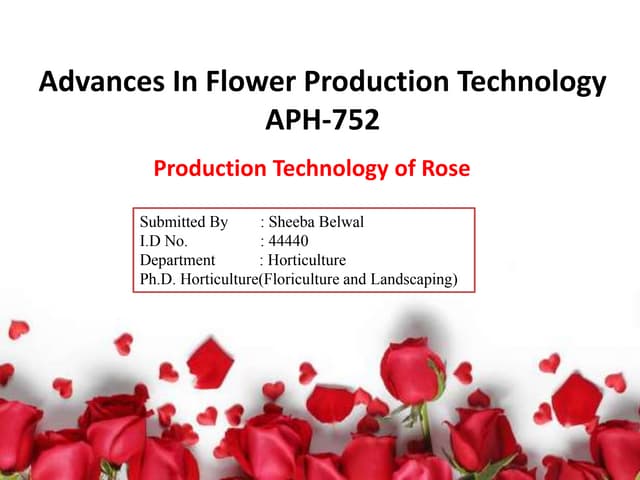 Rose Information in English-Rose Information for Project-Rose ...