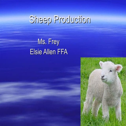 Sheep | PPT