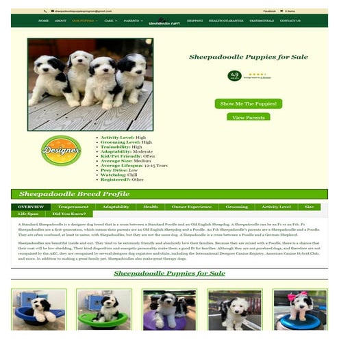 sheepadoodle puppies shop | PDF