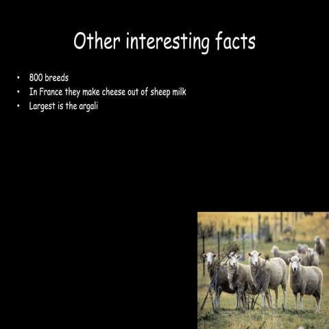 Farm Animals | PPT