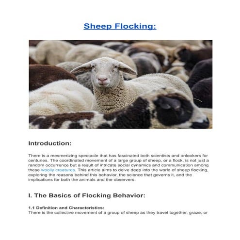 Blog: Sheep Flocking and Huacaya Alpaca: | PDF | Biological Sciences | Science