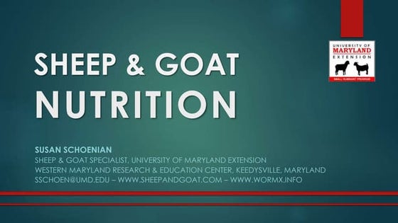 Sheep and Goat feeding .pptx | Veterinary Medicine | Pets
