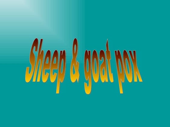 Sheep & goat pox | PPS | Infectious Diseases | Diseases and Conditions