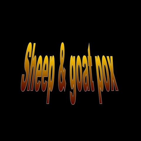 Sheep & goat pox | PPS