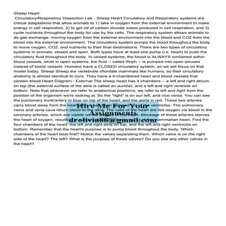 Sheep Heart CirculatoryRespiratory Dissection Lab Sheep .pdf