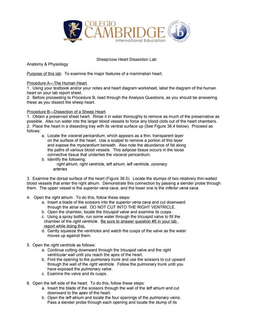 Grade11 life sciences practical task | DOCX