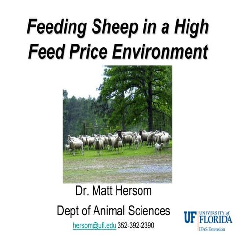 Sheep nutrition | PPTX