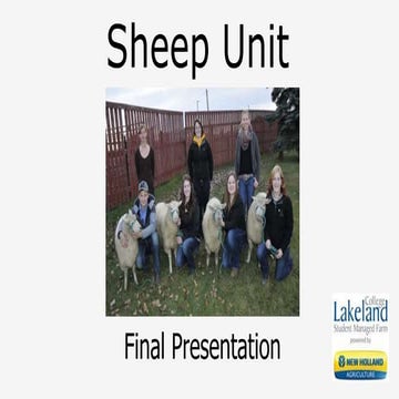 Tusker Berry ( Agri Ventures ) 2018 | PPTX