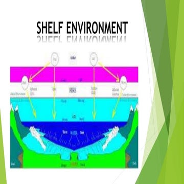 Shelf enviroment; By Salah ud din Shabab | PPTX | Geography | Science
