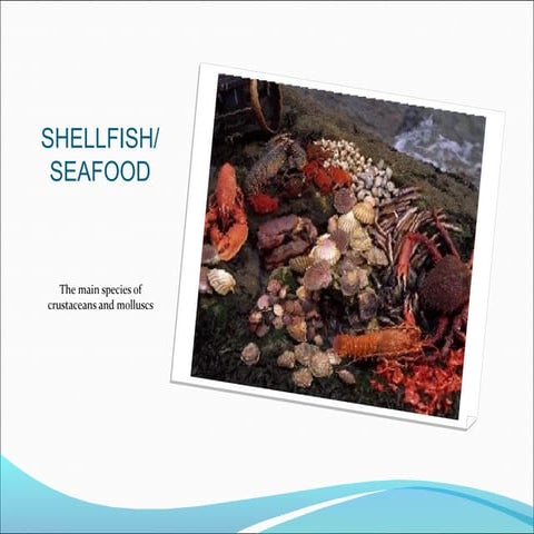 Shellfish | PPT