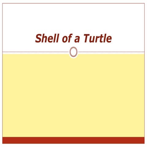 Shell of a turtle | PPTX