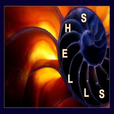 Shells | PPT