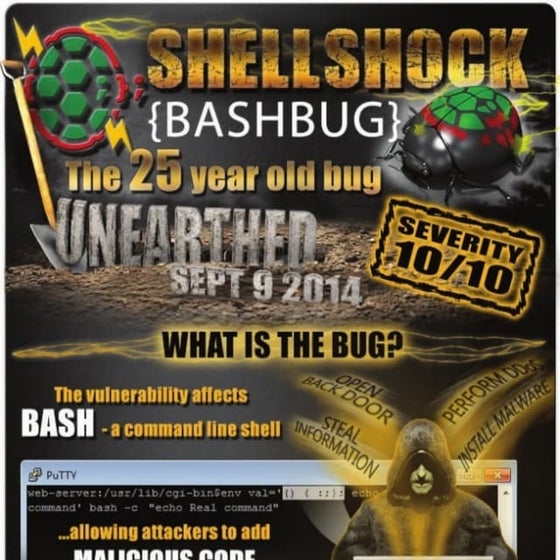 State of mobile app security infographic | PDF