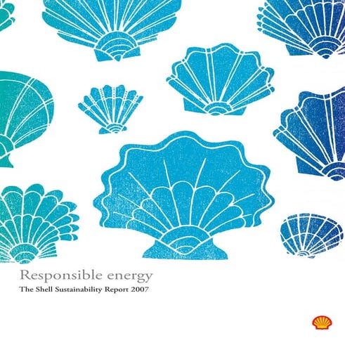 Shell Sustainability Report 2007 | PDF