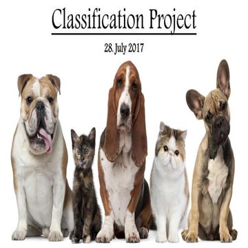 Classification Project_Kaggle (Shelter aninals) | PPT