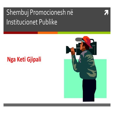 Shembuj Promocionesh në Institucionet Publike nga Keti Gjipali | PPTX