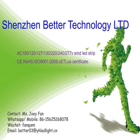 YD Lighting-LED Strip Catalogue | PDF