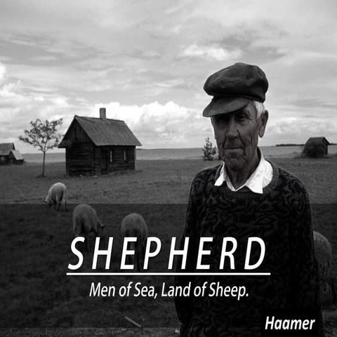 Shepherd | PDF