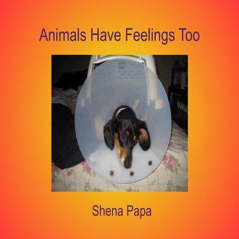 Animals Have Feelings too | ODP