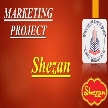 Shezan Marketing Report - Final Project - 2017 - UCP | PPTX