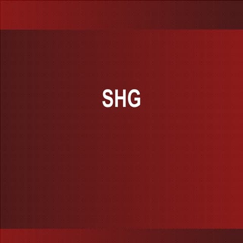 Shg | PPT